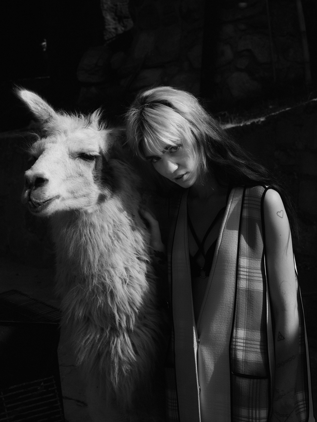 The Happy Reader Grimes - Milan Zrnic