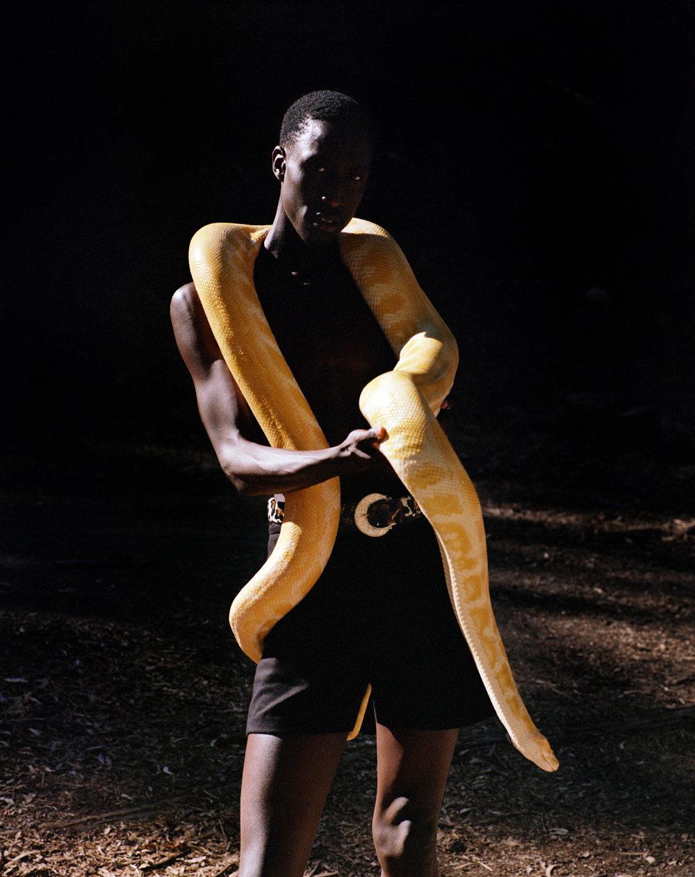 Kenneth Nicholson Collection III - Milan Zrnic