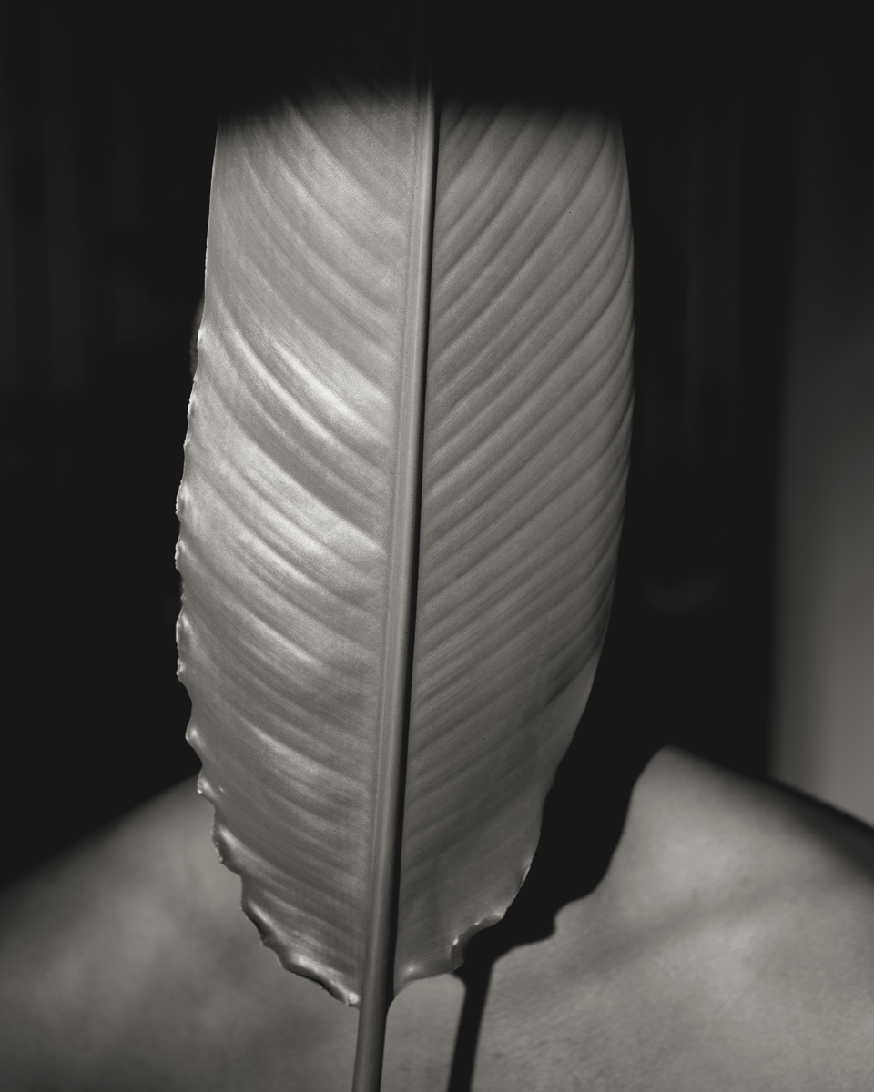 Twin Shadow Eclipse II - Milan Zrnic